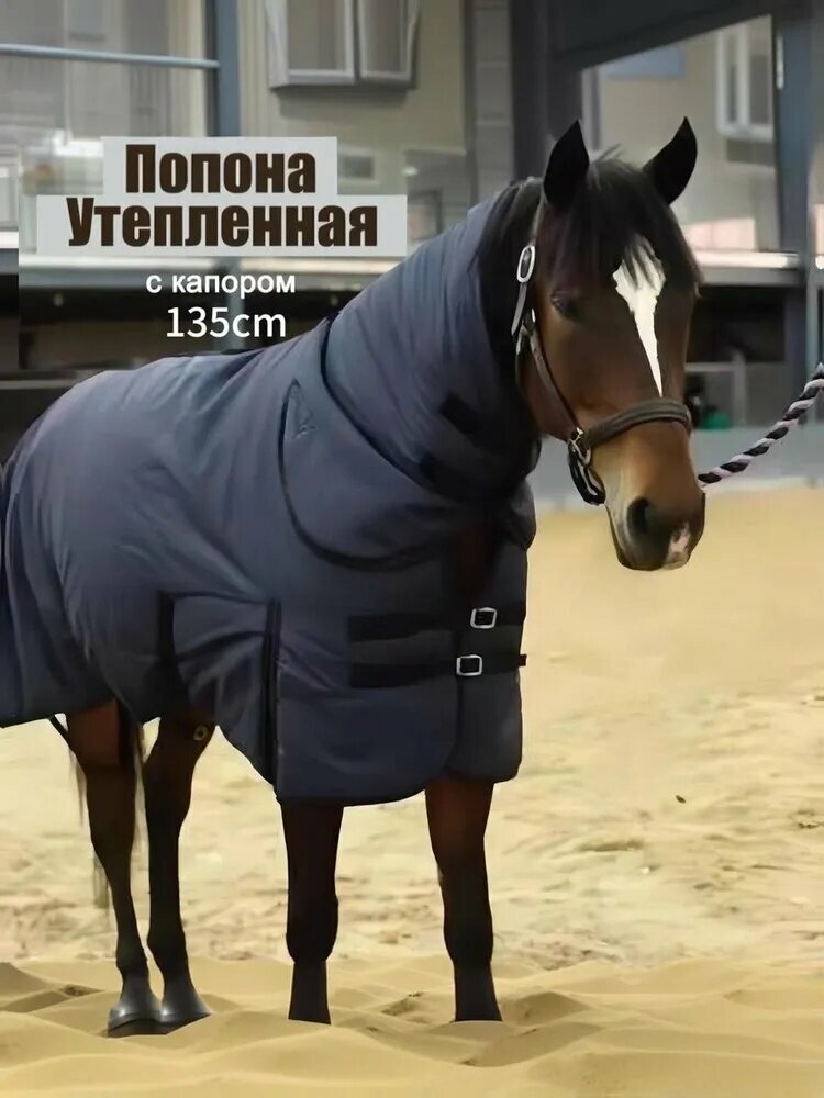 Попона для лошади попона для лошади утепленная, водонепроницаемая Случайный цвет айная доставка) tingzi