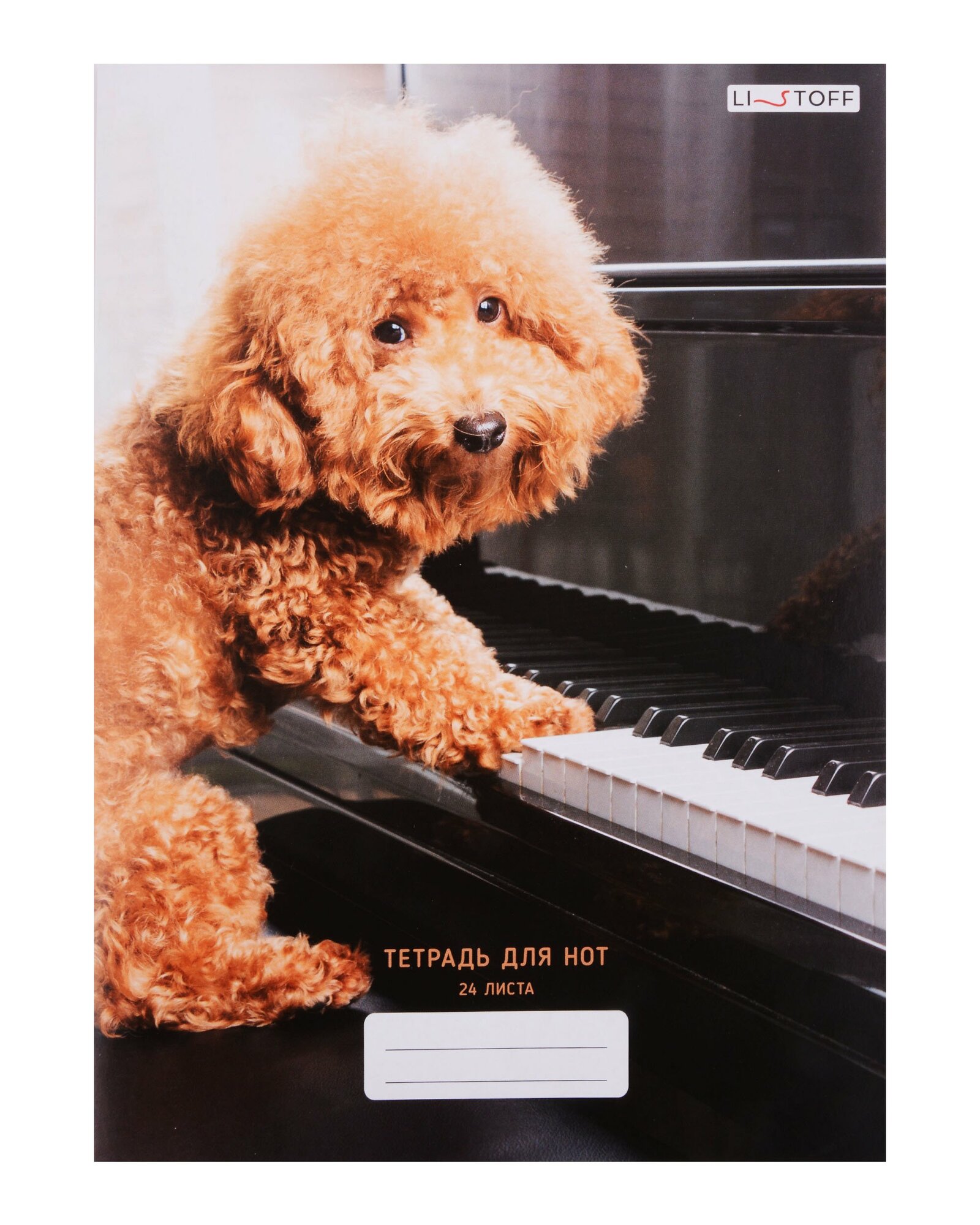 Тетрадь для нот Listoff, "Пушистый пианист", А4, 24 листа