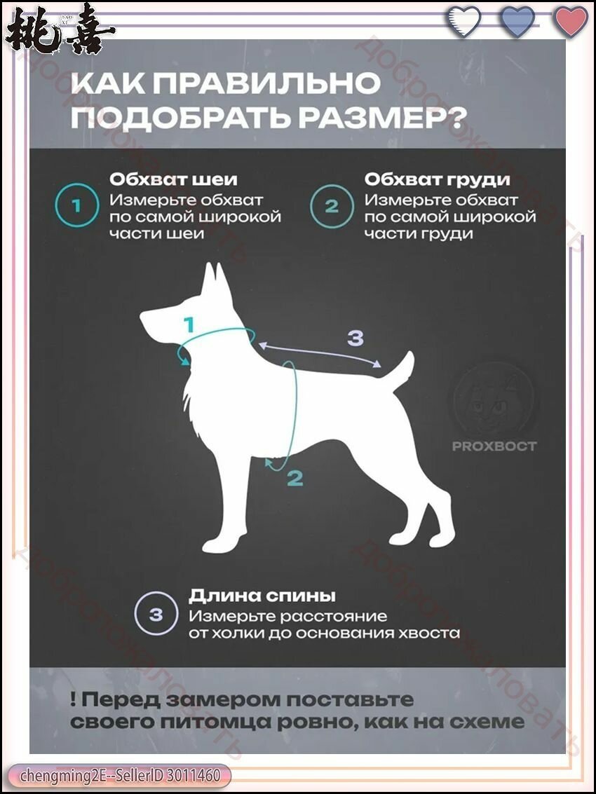 Одежда для животных — фото 1