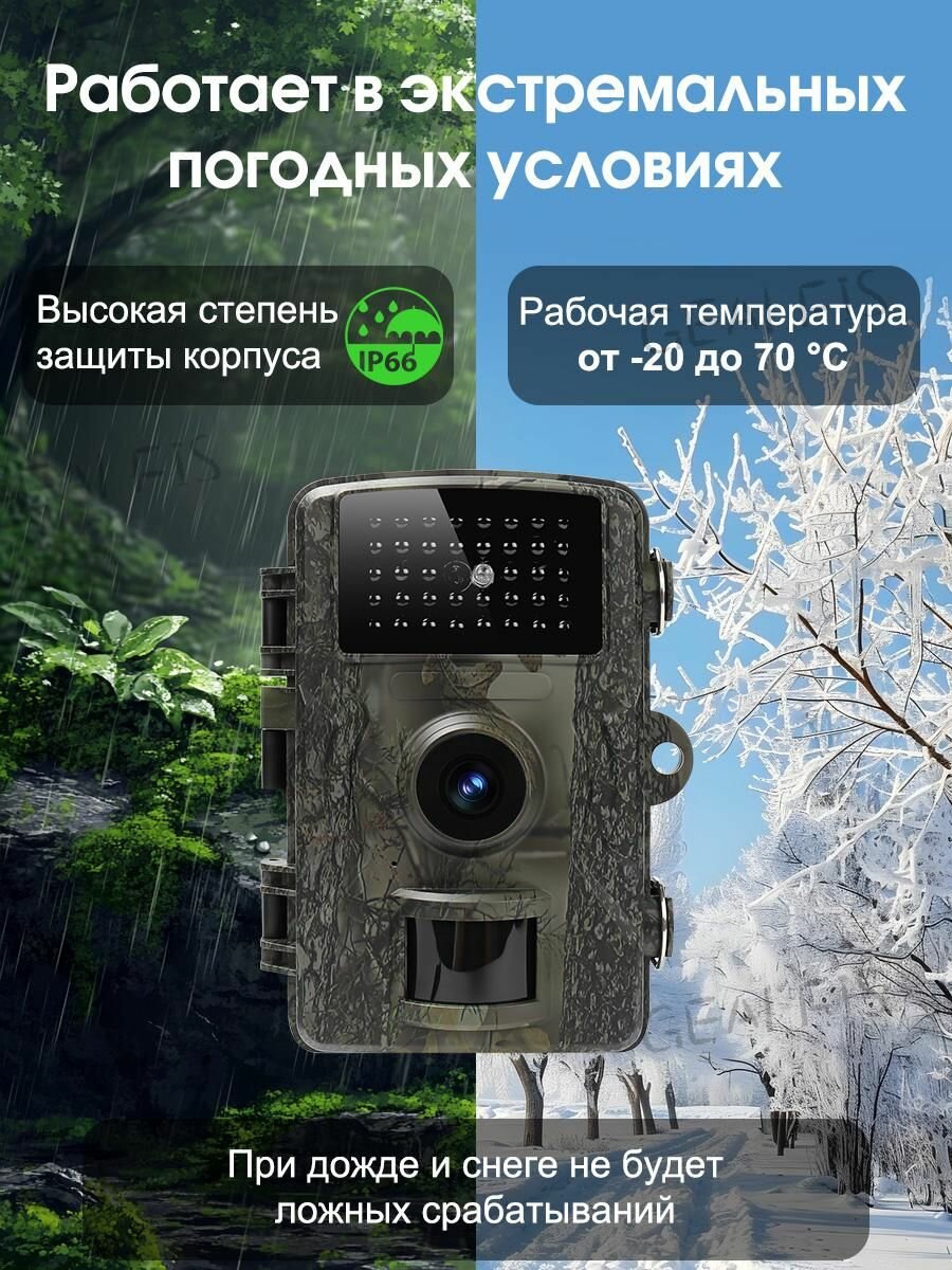 Фотоловушка — фото 1