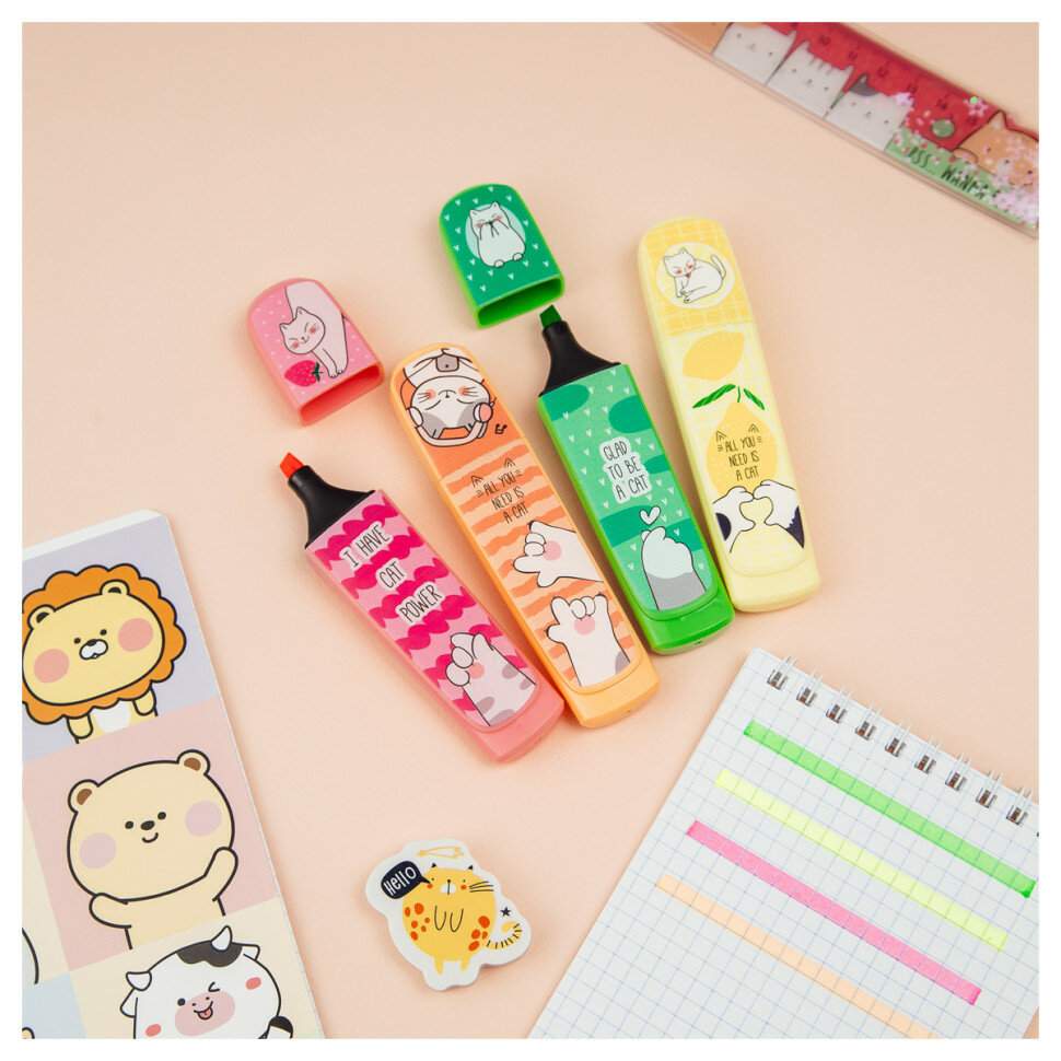 Набор текстовыделителей MESHU "Cat s paw", 04цв, неоновые цвета, 1-5мм, ПВХ бокс с европодвесом, 344549