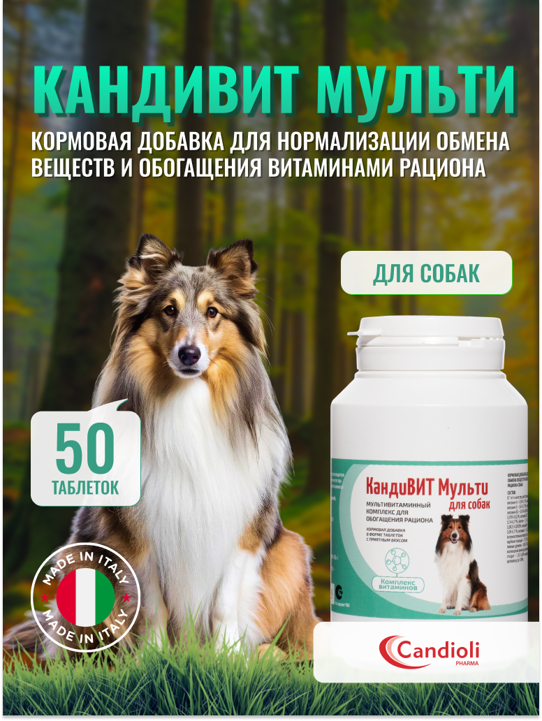 КандиВИТ Мульти для собак