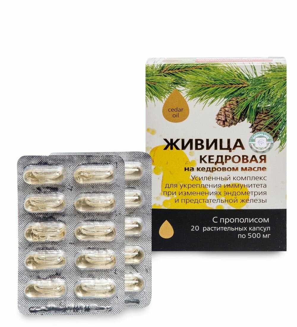 Живица кедровая на кедровом масле Капсулы с прополисом, №20*0,5 г, блистер A2134506