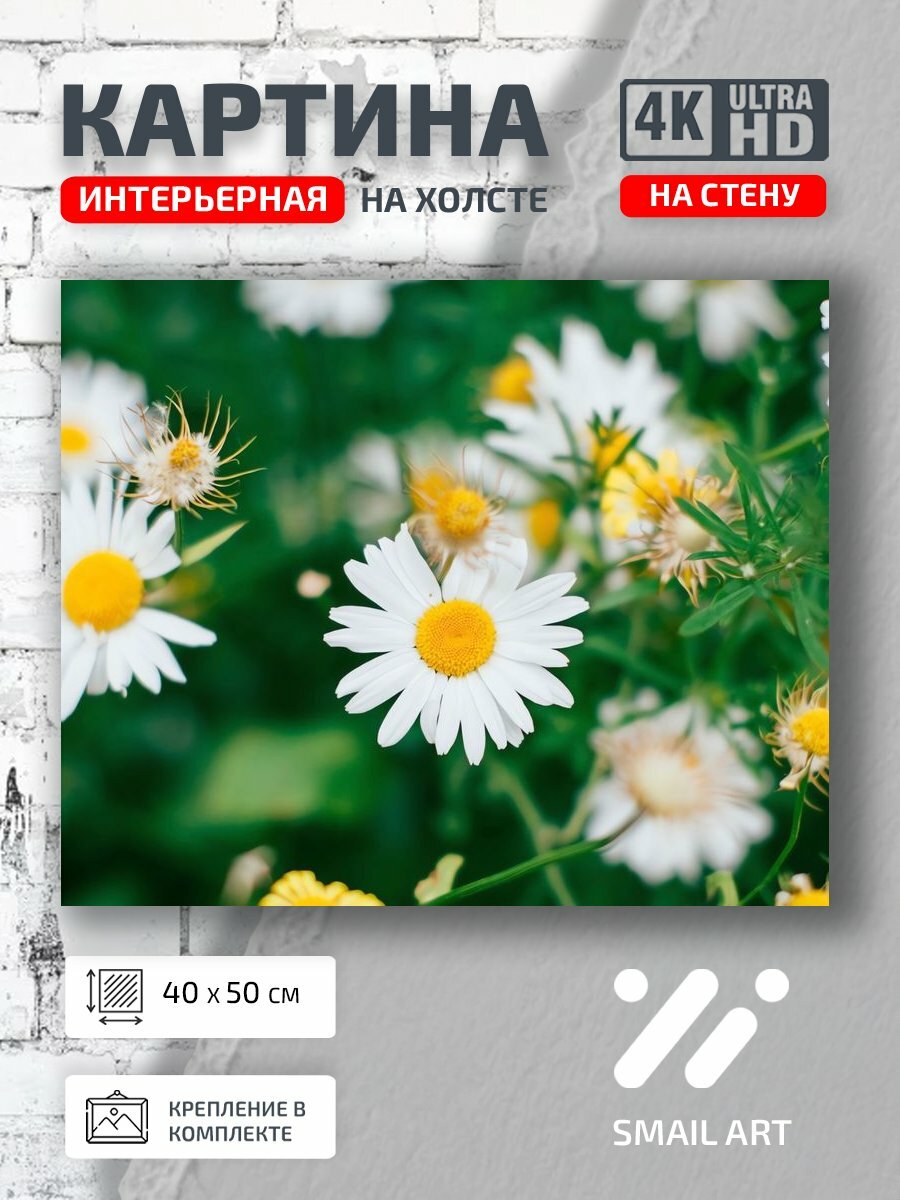 Картина на холсте интерьерная 40 на 50 на стену Куст Mood для офиса атмосфера интерьер