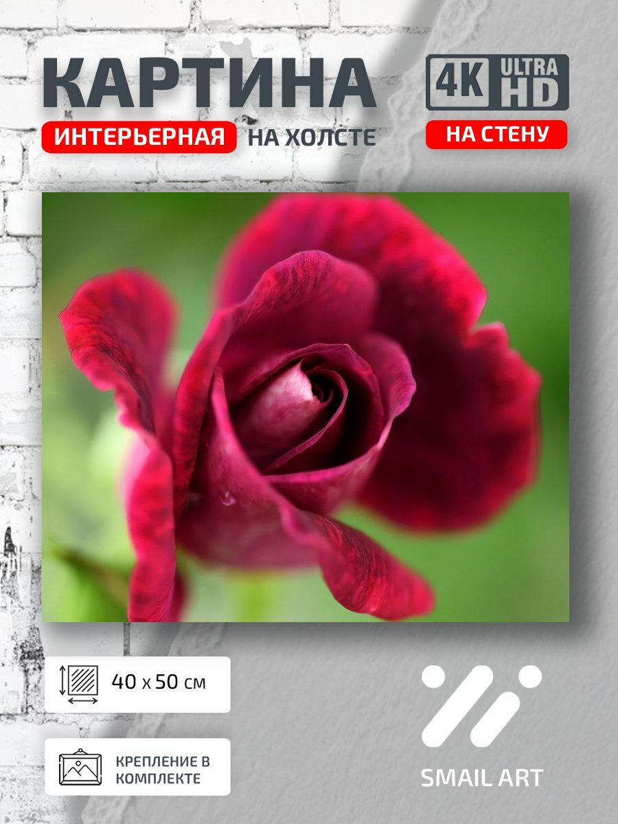Картина на холсте интерьерная 40 на 50 на стену План plan для кафе пейзаж интерьер декор