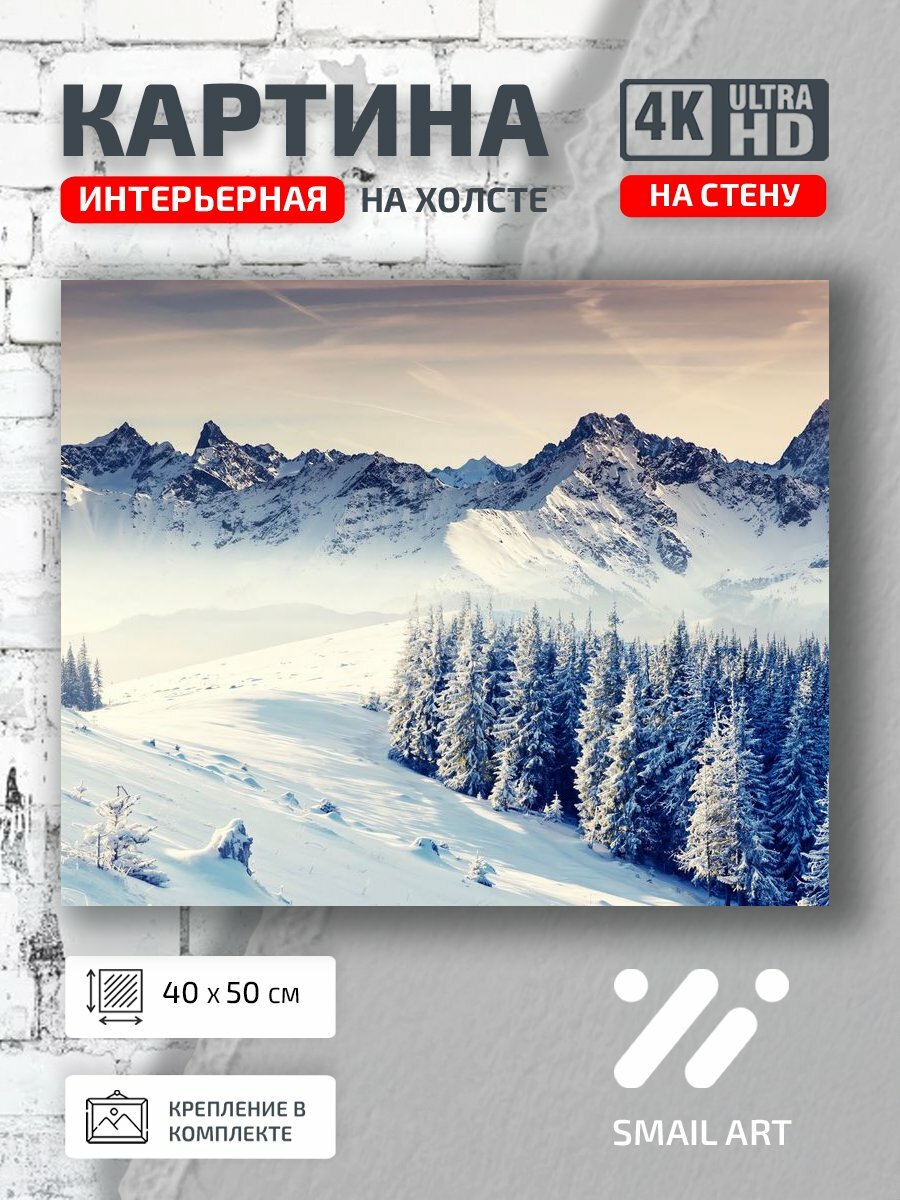 Картина на холсте интерьерная 40 на 50 на стену Горы mountains для гостиной пейзаж интерьер