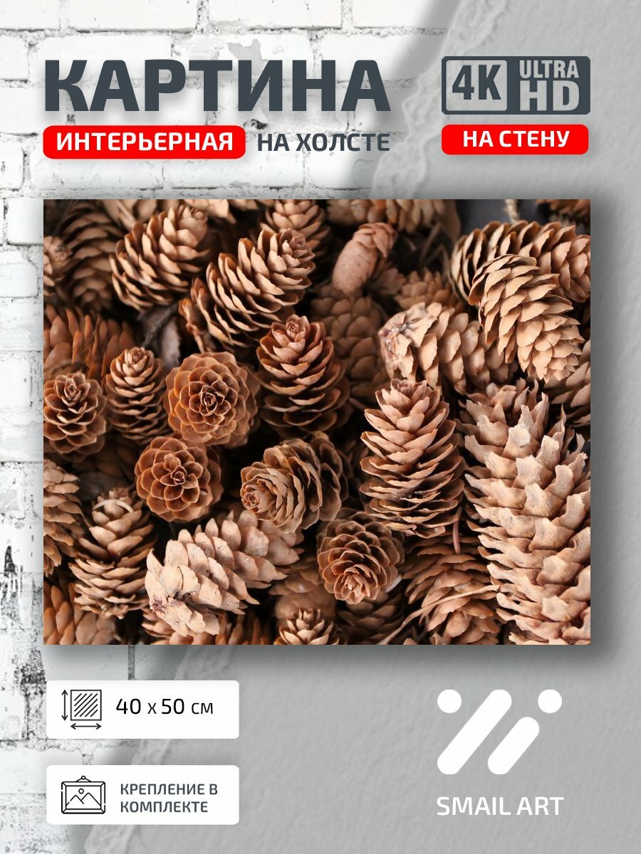 Картина на холсте интерьерная 40 на 50 на стену Шишки Landscape для кабинета пейзаж декор