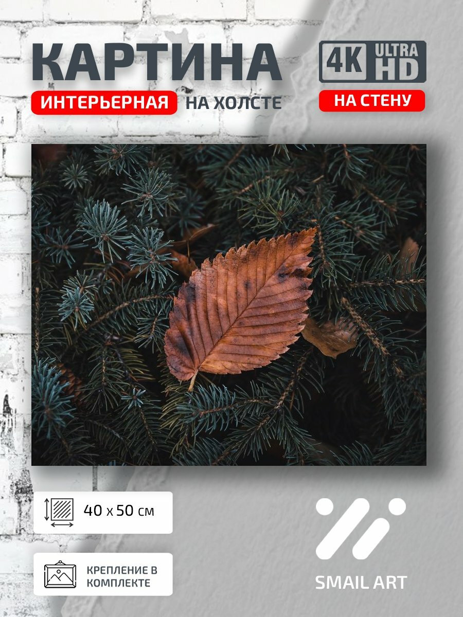Картина на холсте интерьерная 40 на 50 на стену Хвоя Landscape для офиса пейзаж интерьер