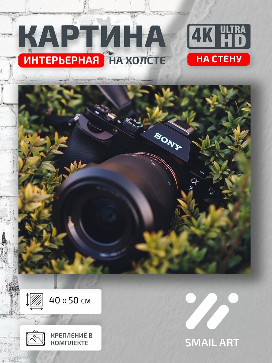 Картина на холсте интерьерная 40 на 50 на стену Техника sony для кабинета атмосфера декор