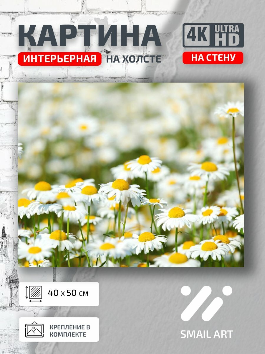 Картина на холсте интерьерная 40 на 50 на стену Поляна Mood для гостиной атмосфера интерьер