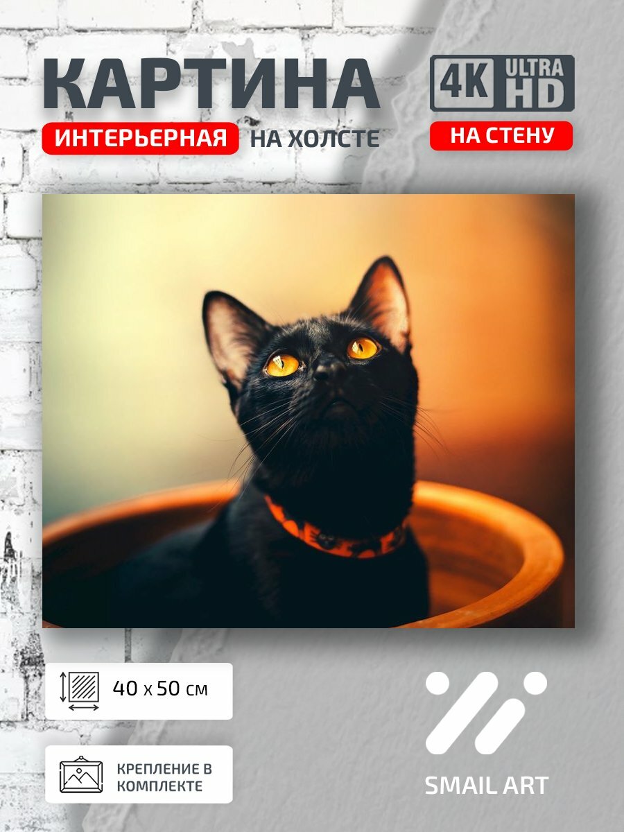 Картина на холсте интерьерная 40 на 50 на стену Кувшин Animal для детской animal style