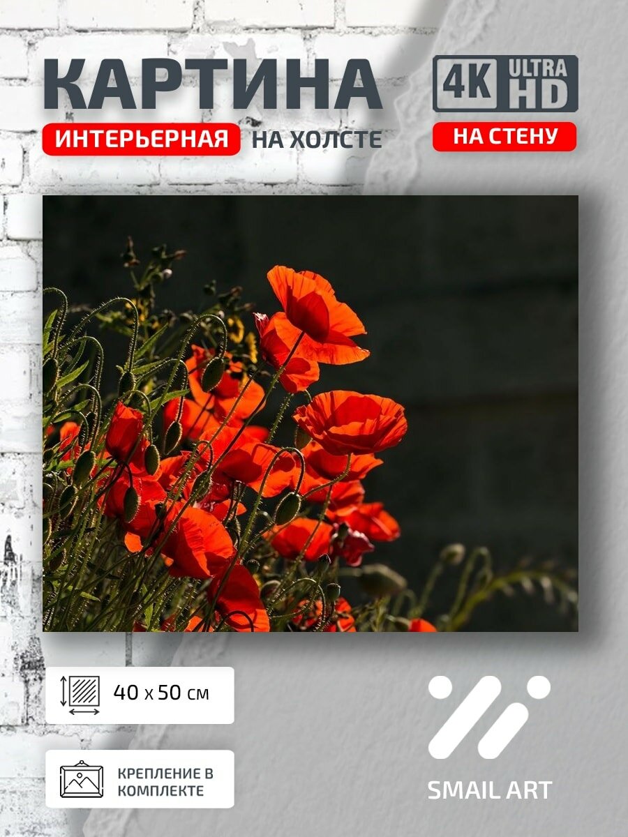 Картина на холсте интерьерная 40 на 50 на стену Природа Маки для спальни пейзаж