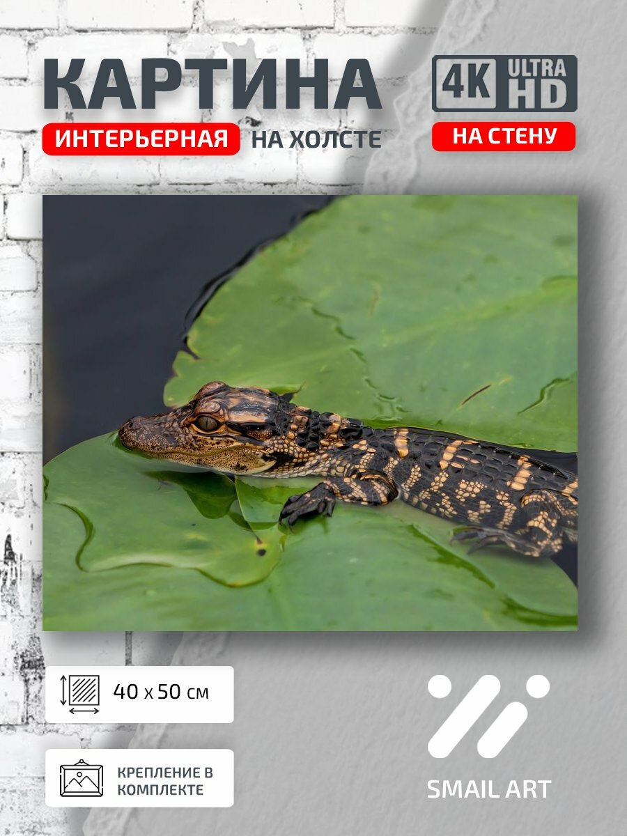 Картина на холсте интерьерная 40 на 50 на стену Гавиал Mood для спальни атмосфера интерьер