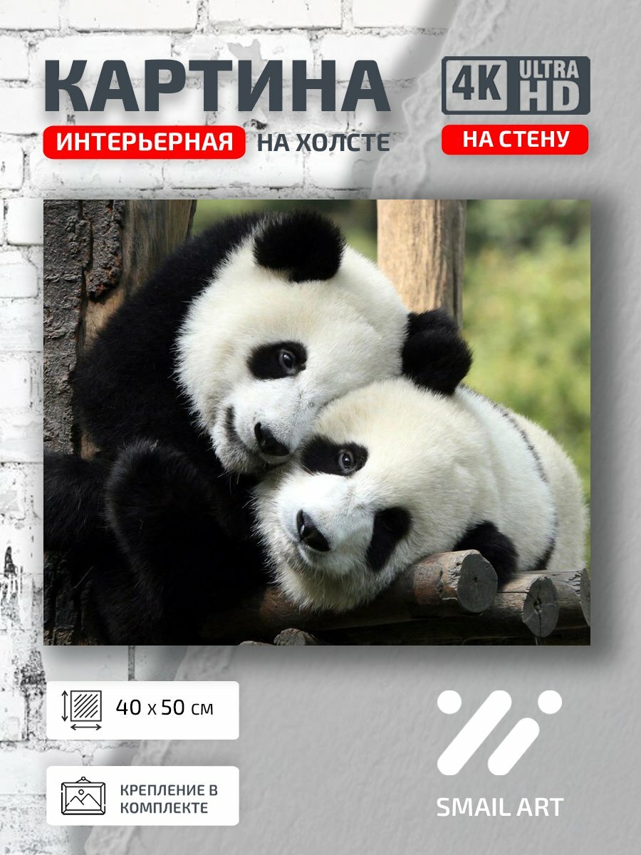Картина на холсте интерьерная 40 на 50 на стену Панды Mood для офиса атмосфера интерьер
