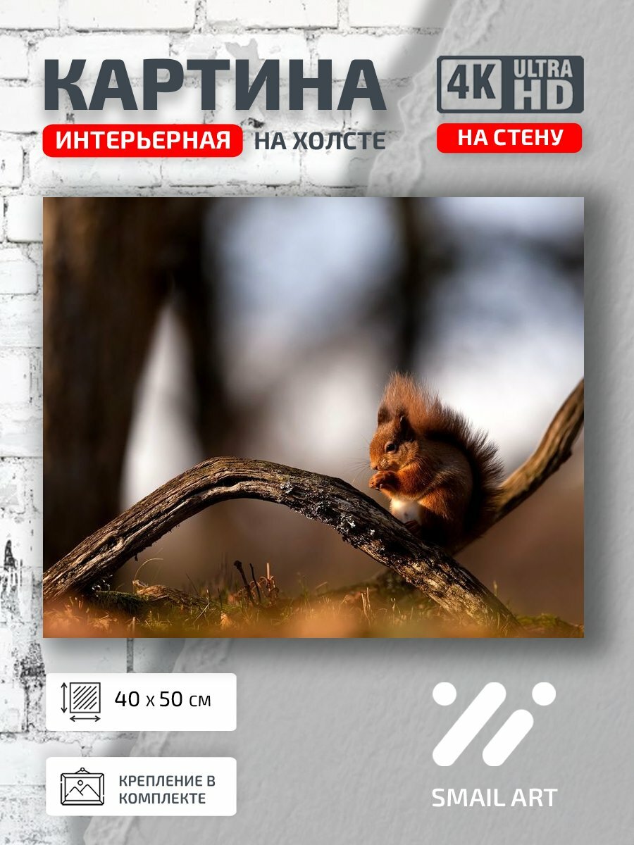 Картина на холсте интерьерная 40 на 50 на стену Ветка Landscape для кабинета пейзаж декор