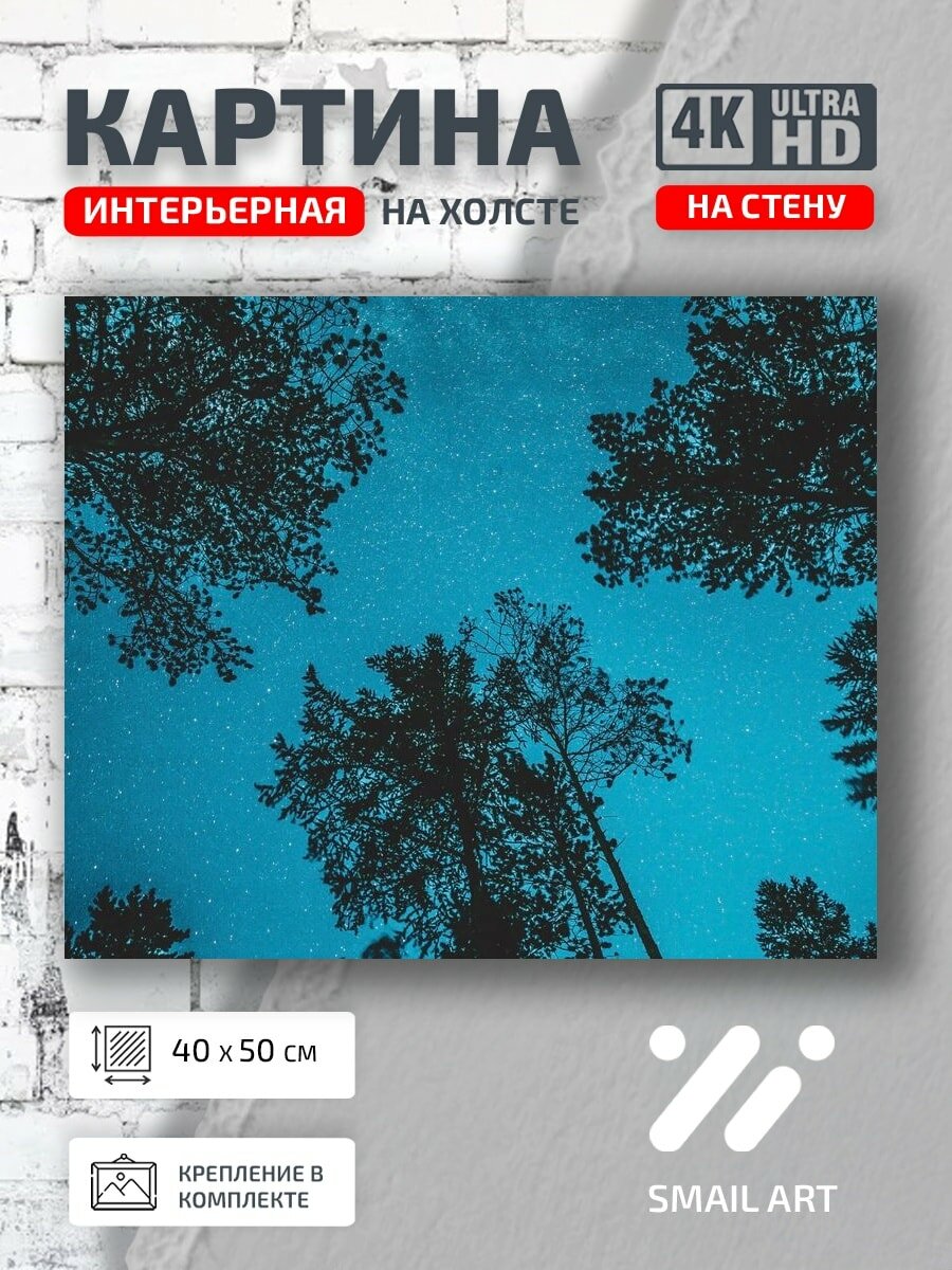 Картина на холсте интерьерная 40 на 50 на стену звездное небо для кабинета атмосфера