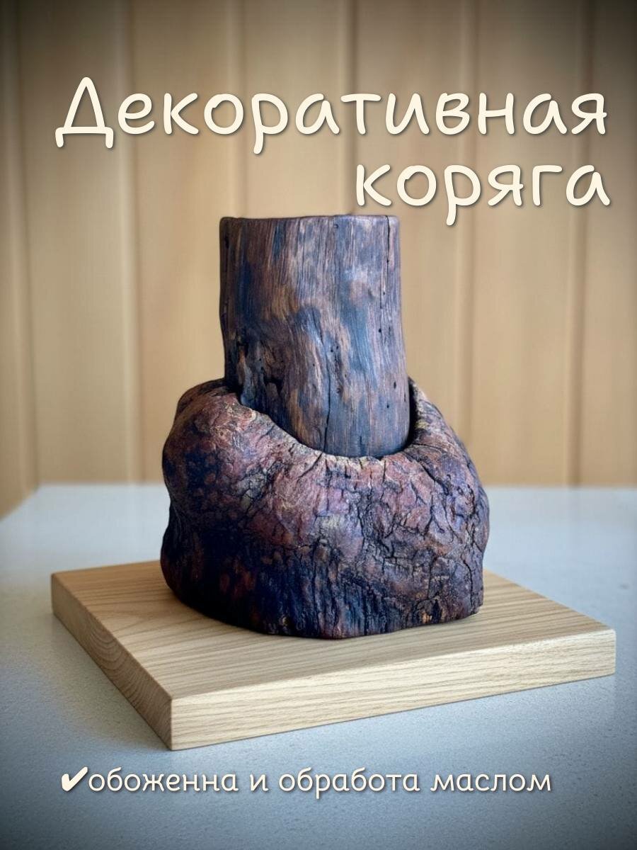 Декоративная коряга Дерева, диаметр 17-20 см, толщина 22 см, 1шт