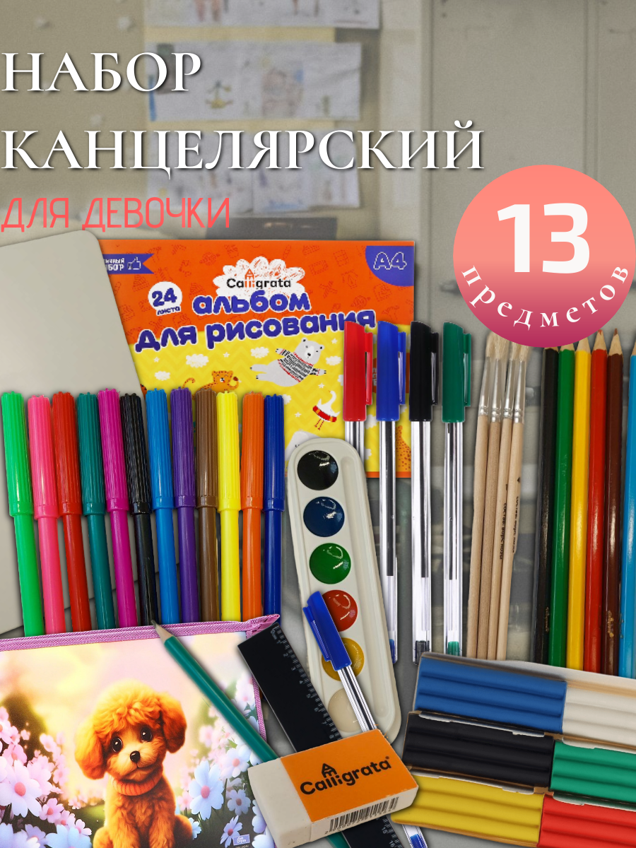 Набор канцтоваров для школы, для девочки, 13 предметов + папка для тетрадей