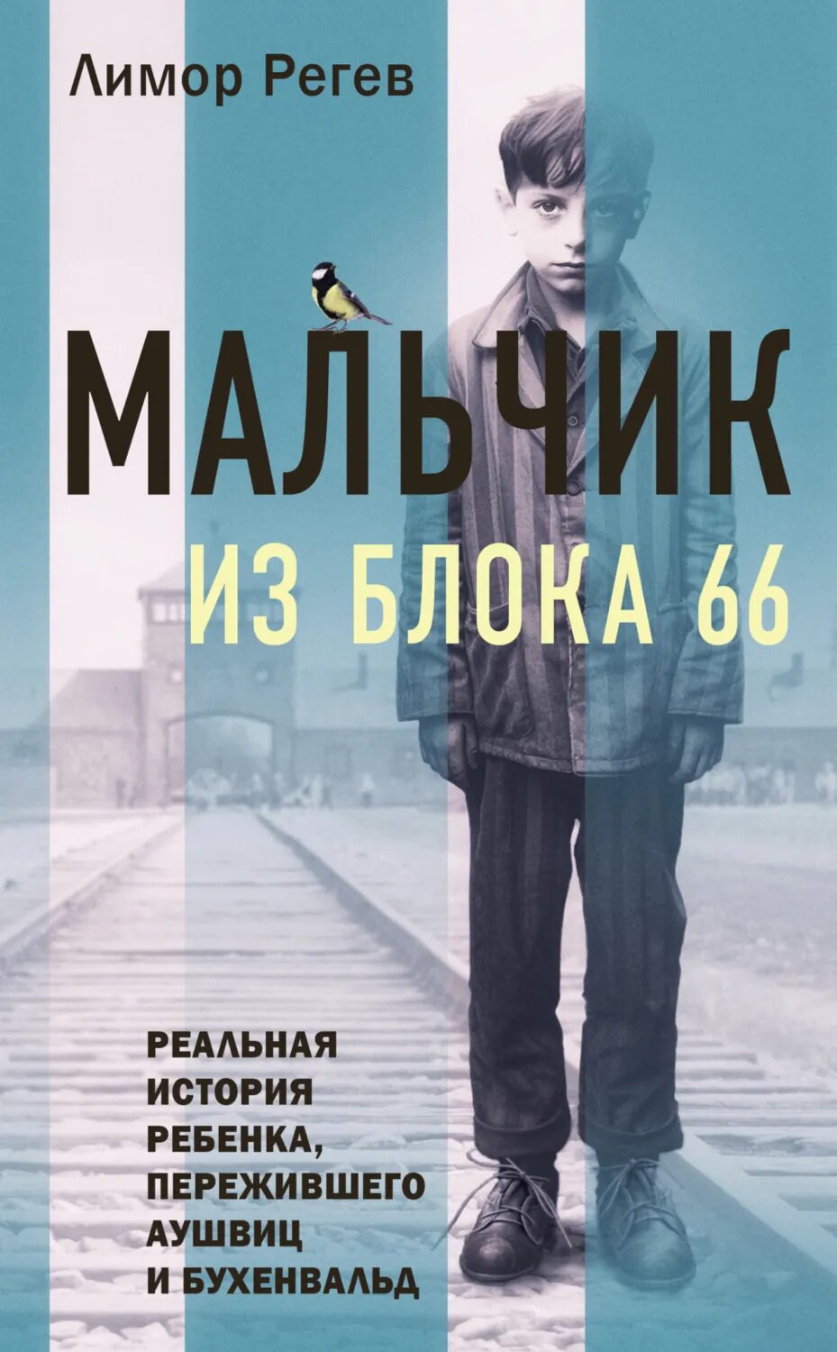 Мальчик из Блока 66. Реальная история ребенка, пережившего Аушвиц и Бухенвальд [Цифровая книга]