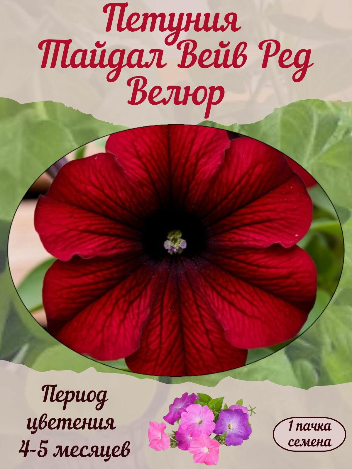 Петуния Тайдал Вейв Ред Велюр, семена, 10 шт, 15 гр.