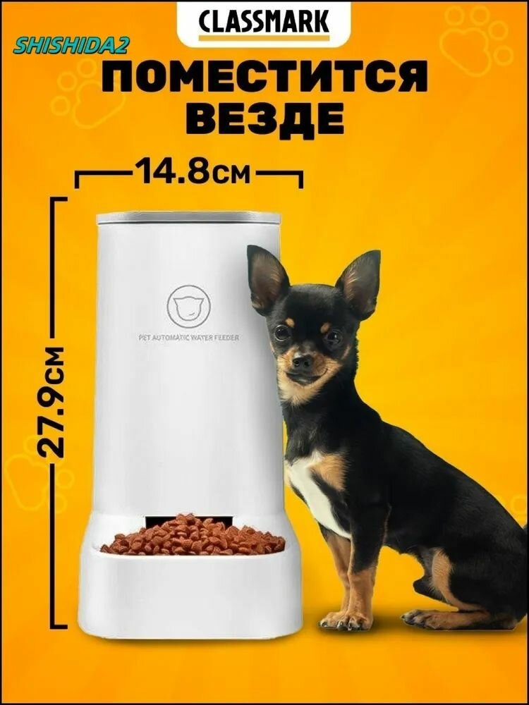 Автокормушка — фото 1