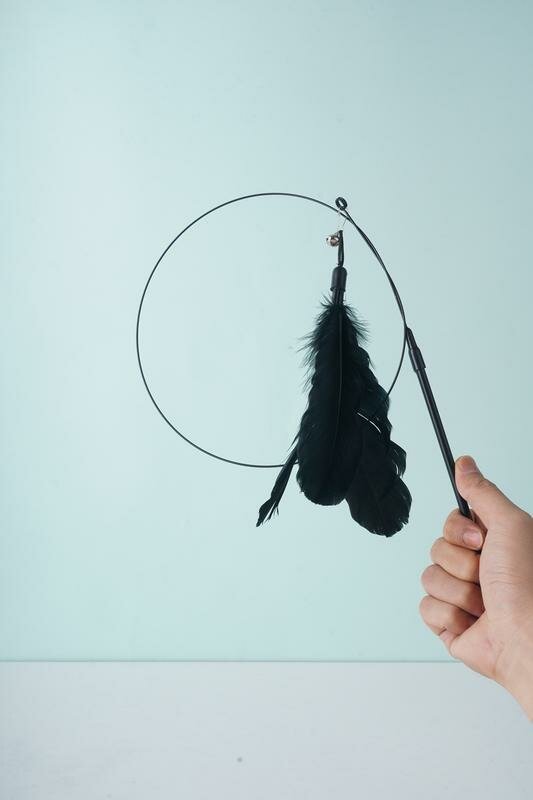 Производители спотовых игрушек для кошек длинный стержень присоски Ручной столб + черное перо