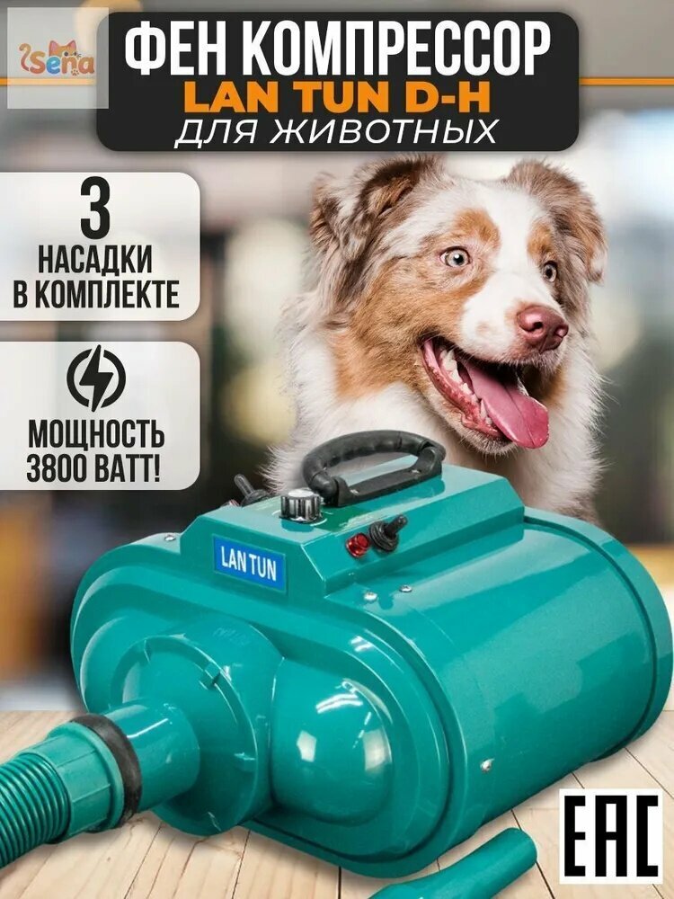 Фен-компрессор LanTun DH, для собак, 3800 Вт, белый, зеленый