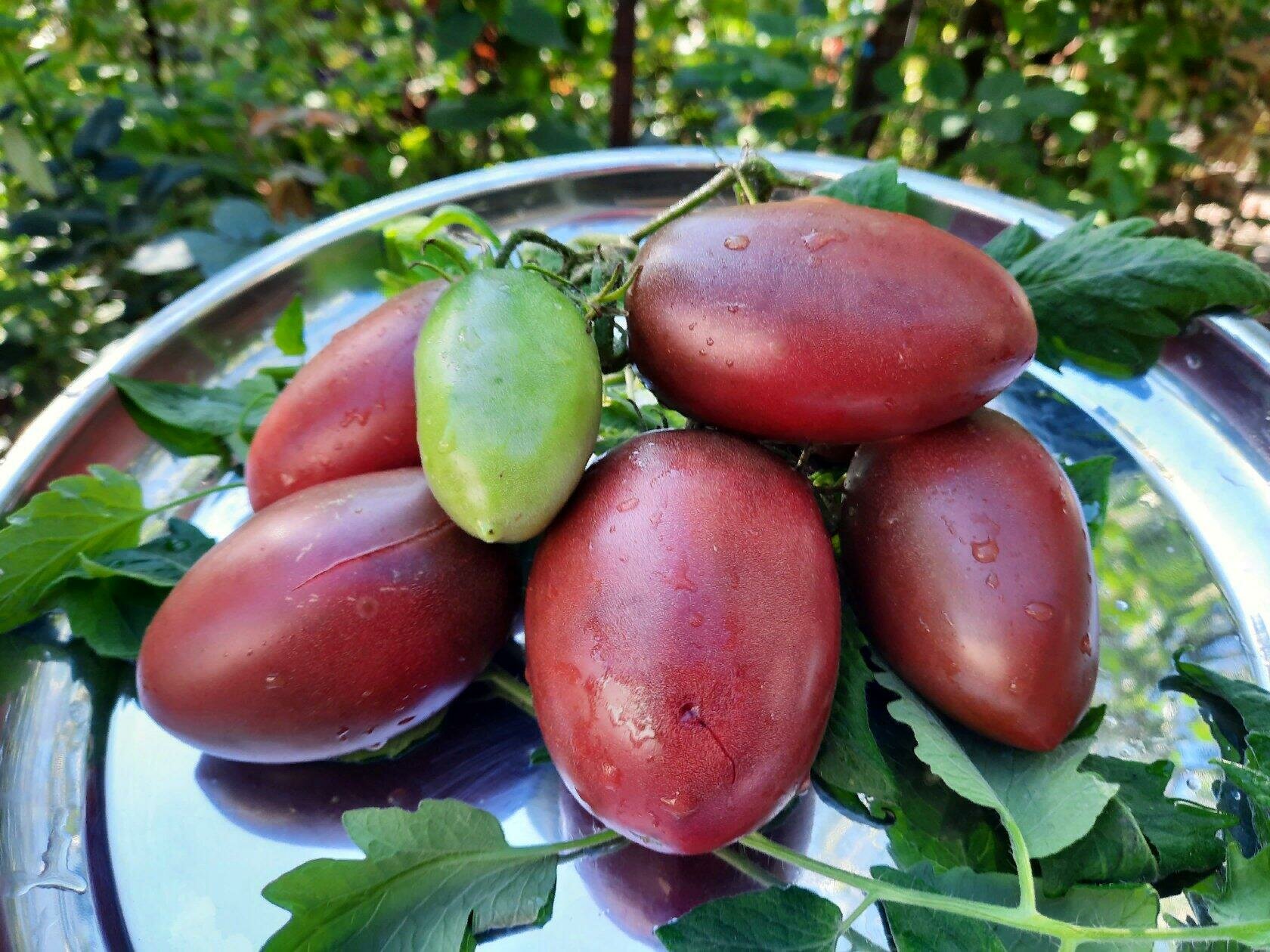 Семена "Черный император", сладкий томат, однолетний, 10 семян