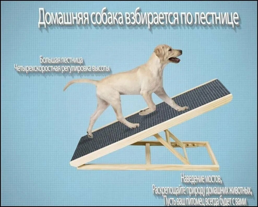 Лестница для собак прикроватная, пандус для собак, Переносная складная лестница для домашних животных с, с возможностью регулировки высоты,53*100*43cmw