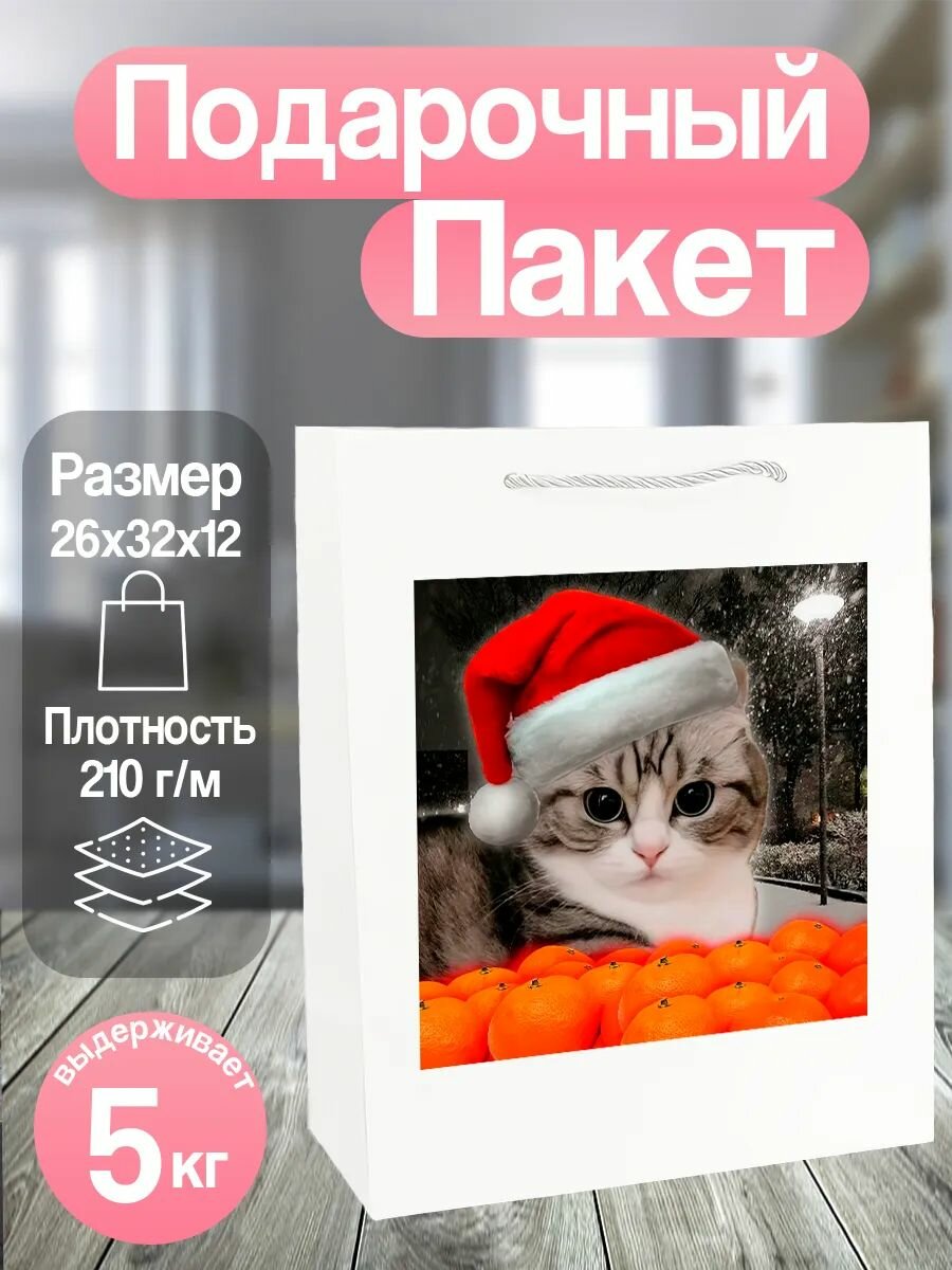 Пакет новогодний подарочный мем котики