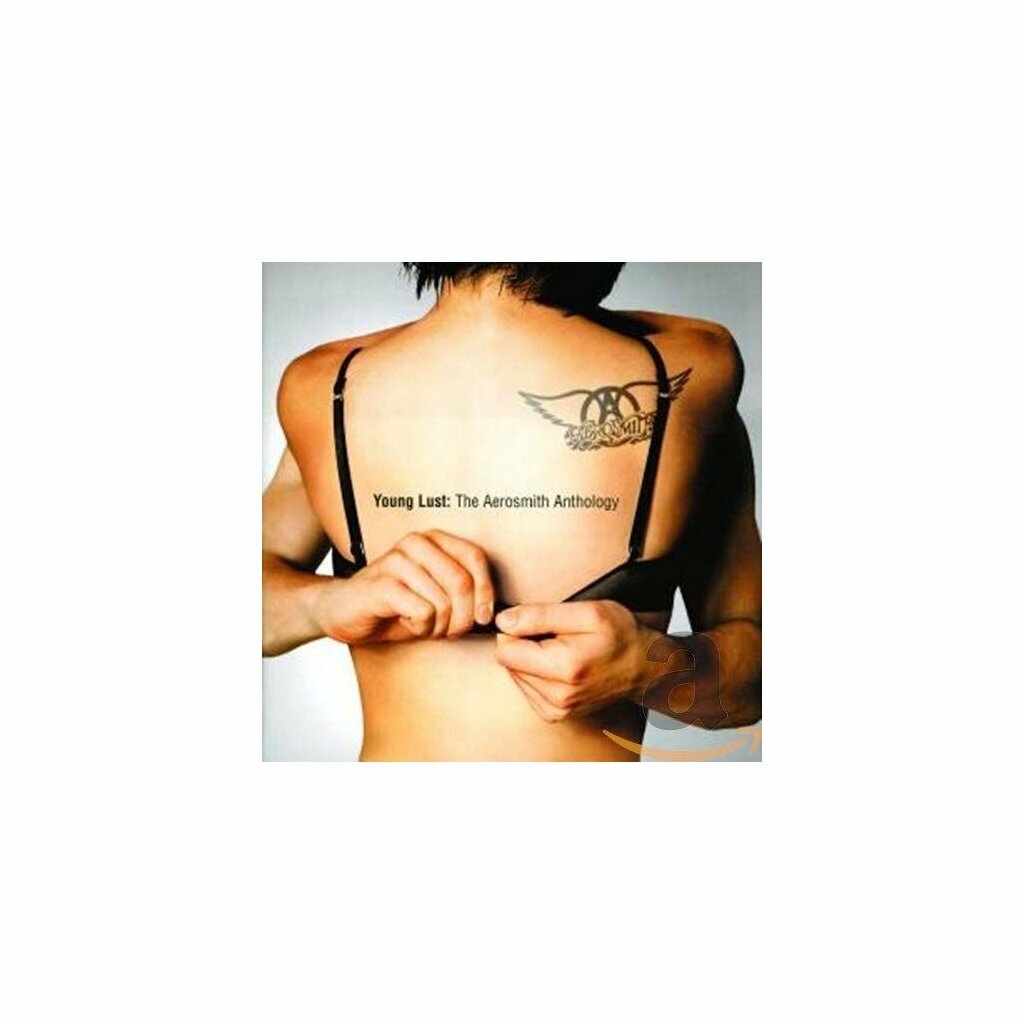 Диск Aerosmith - Young Lust: The Aerosmith Anthology (2 CD)