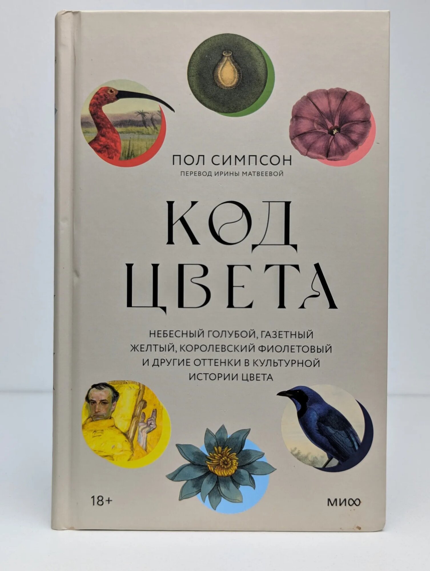 Код цвета Симпсон Пол 2022