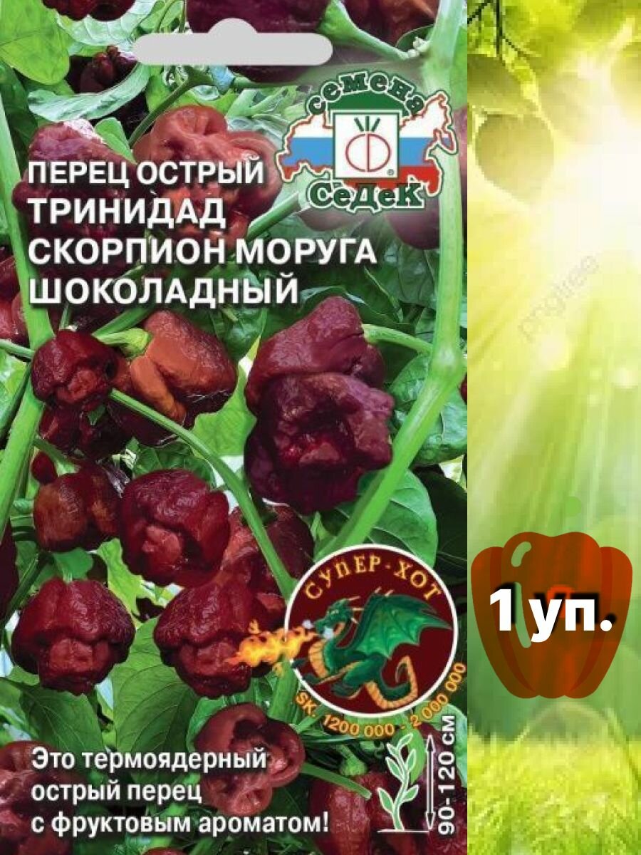 Семена фирмы СеДеК -перец острый Тринидад Скорпион Моруга шоколадный (1 упаковка)