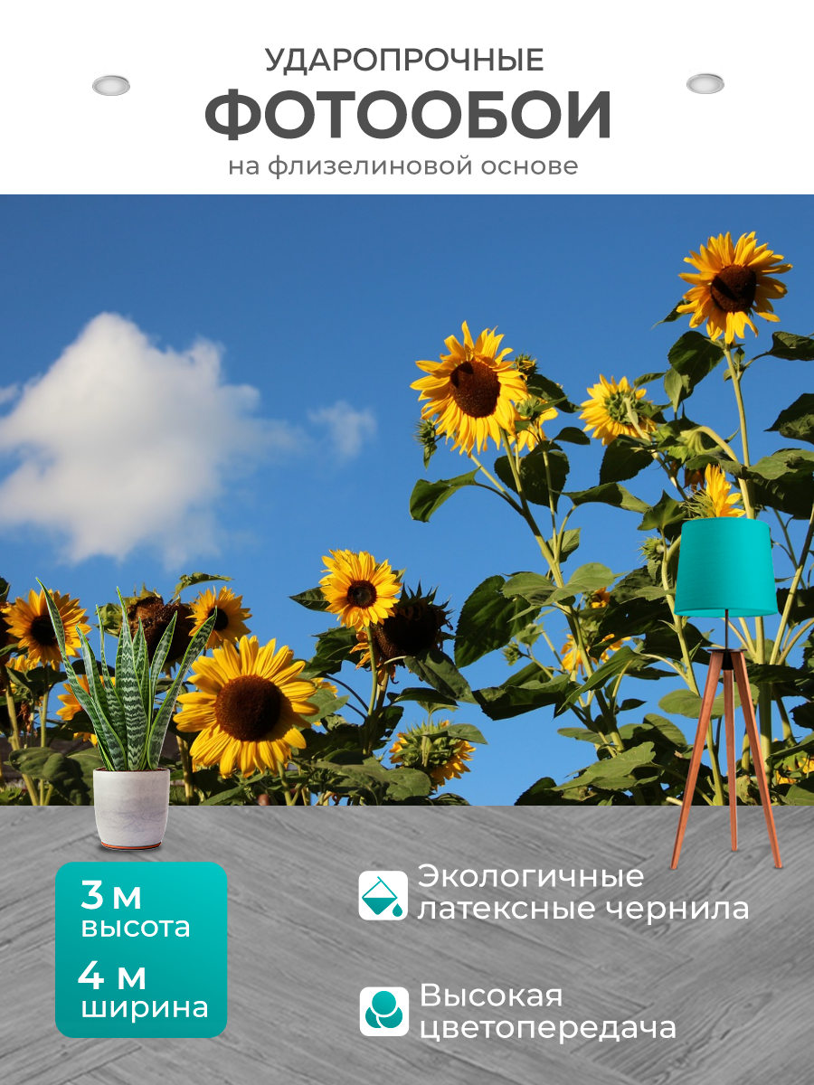 Фотообои моющиеся ударопрочные "Подсолнухи, расцветает, летом" 400x300 см. флизелиновые на стену