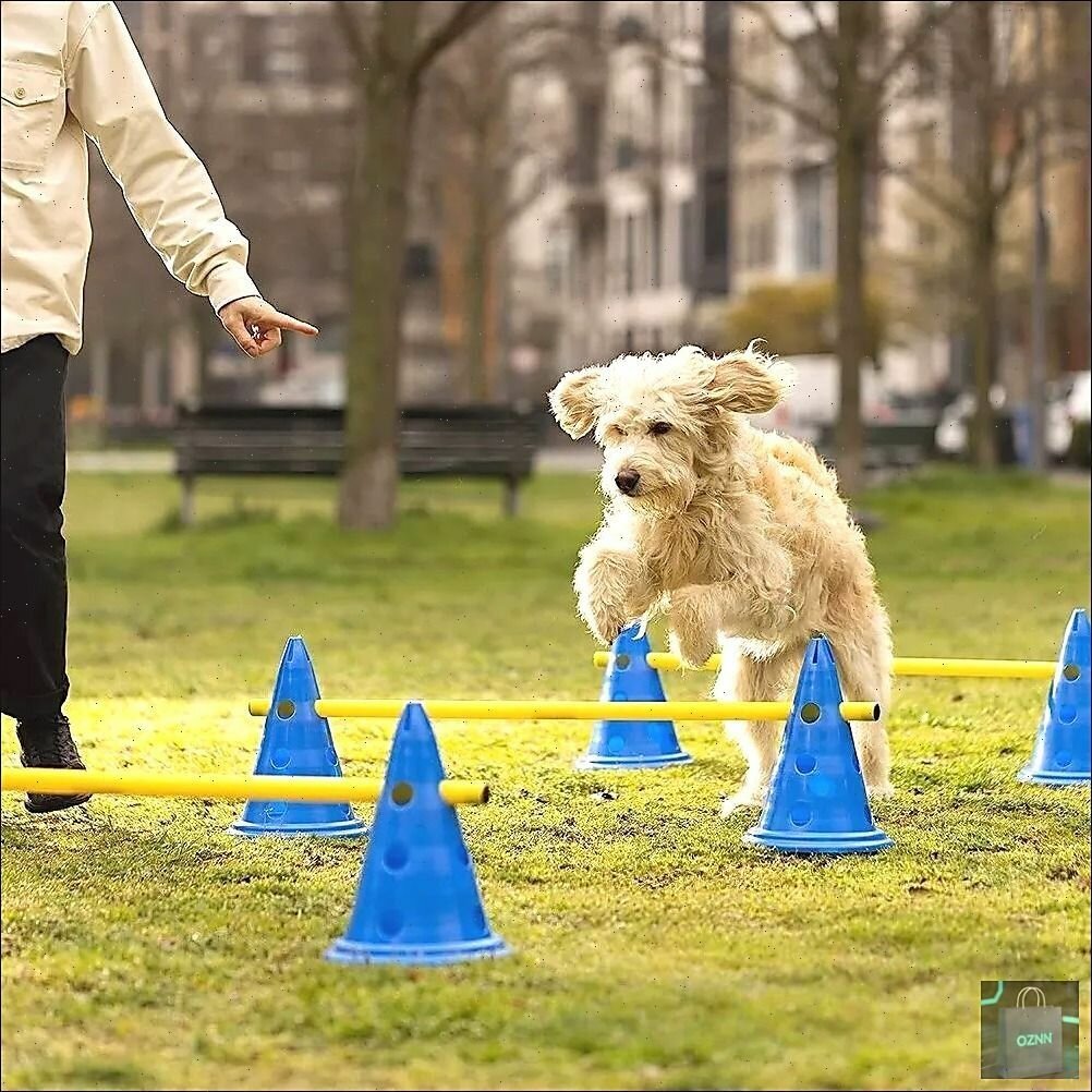 Оборудование для тренировки собак на аджилити, две конусообразные бочки с круглым дном по 30 см, один двухсекционный шест длиной 1 метр