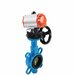 Затвор DN.ru GGG50-GGG40-EPDM Ду100 Ру16, с пн. приводом DA-083, РД HDM-2