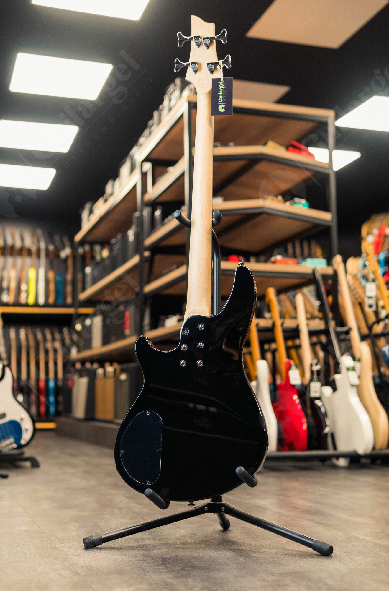 Schecter SGR C-4 BASS BLK Бас-гитара с чехлом — фото 1