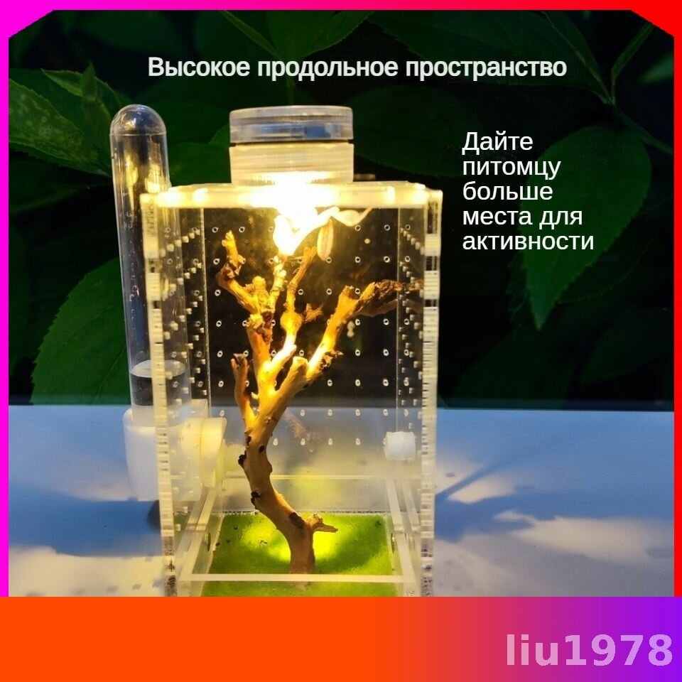 Террариум-liu1978