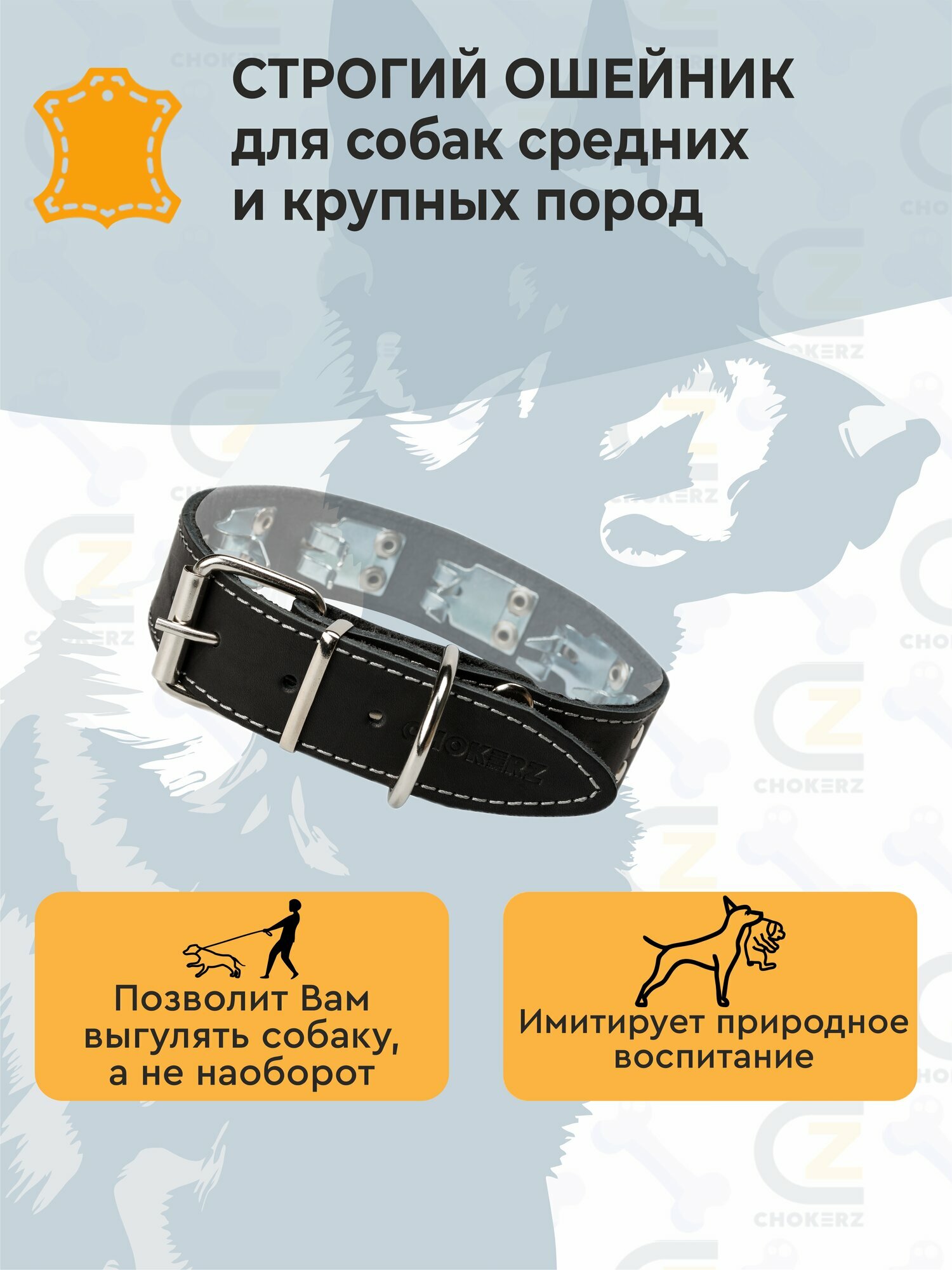 Кожаный строгий ошейник парфорс черный CHOKERZ с металлическими клепками 35 мм 55 см