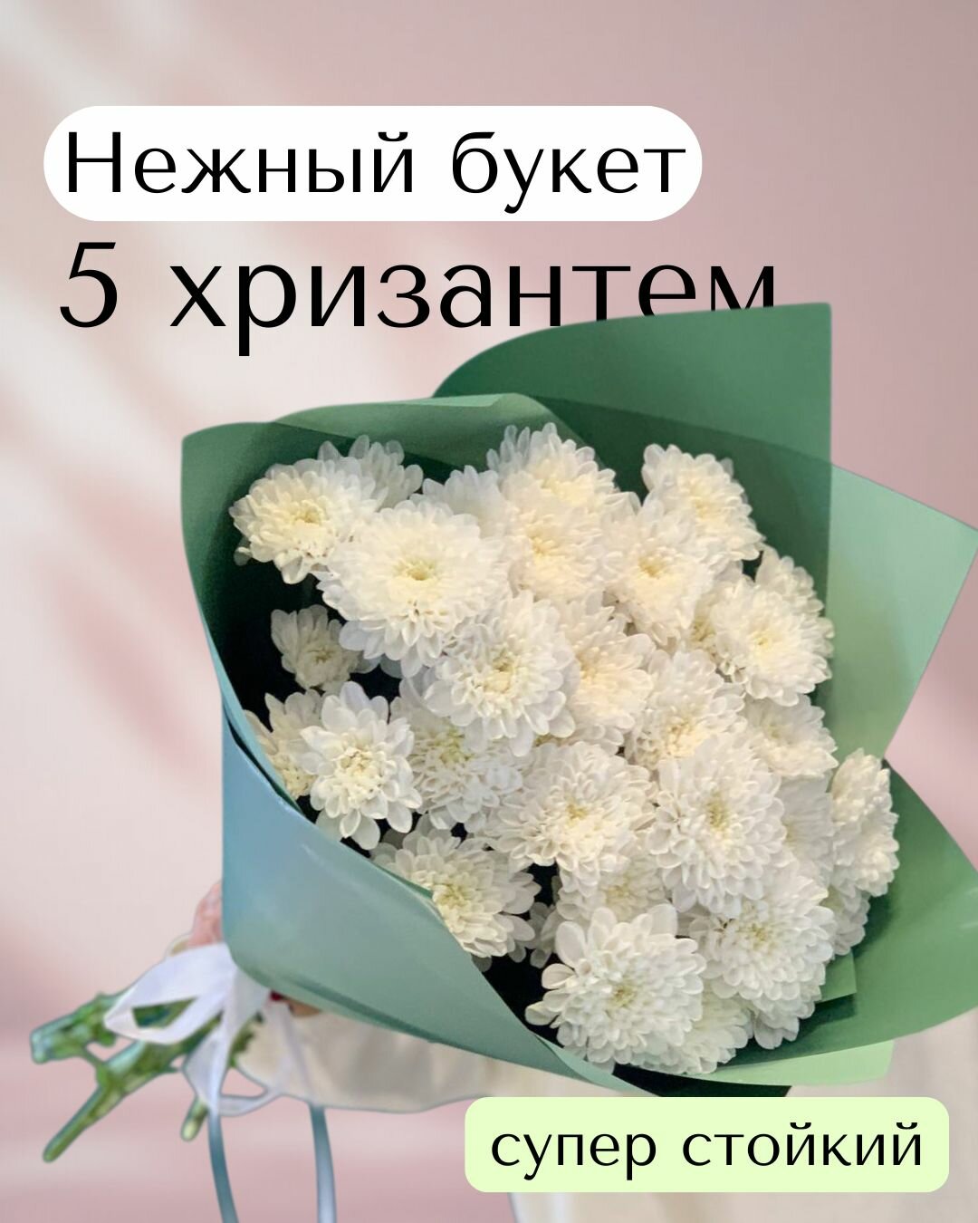Букет из 5 белых хризантем. Цветы в подарок мамы, бабушки, любимой.