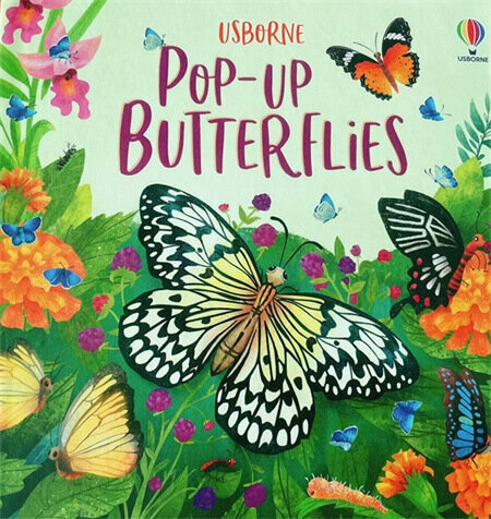 Usborne PopUp Birds Fun 3D Визуальная Поп-Ап Книга для Родителей и Детей Научное Чтение Книга с Иллюстрациями