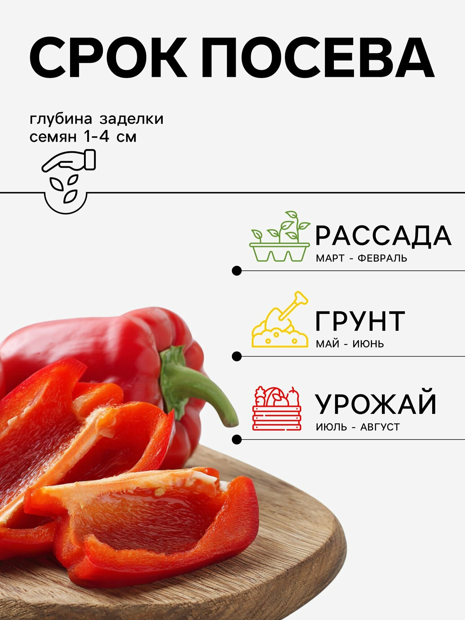 Семена Перец. 6 упаковок — фото 1