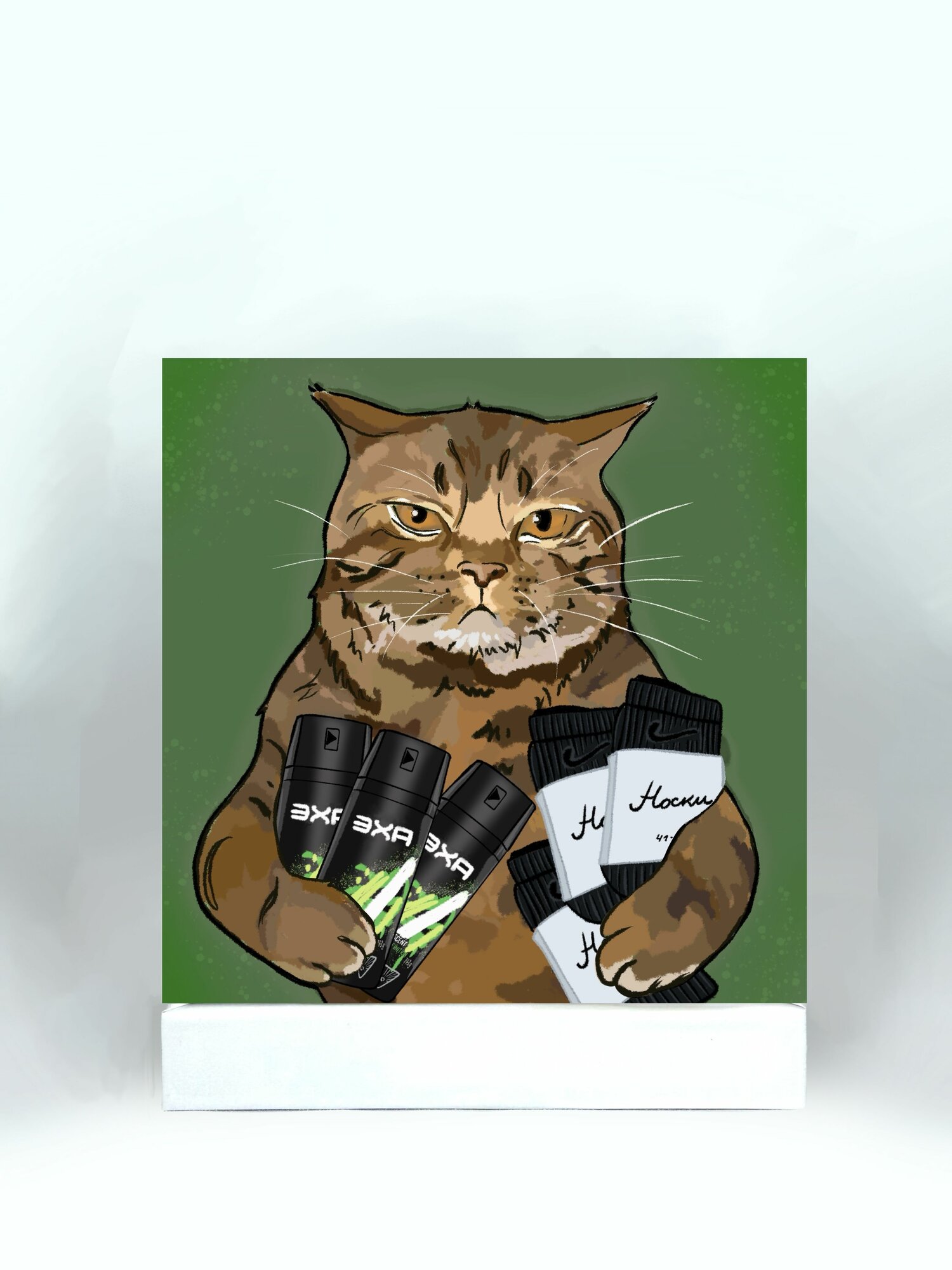 Открытка Кот с носками