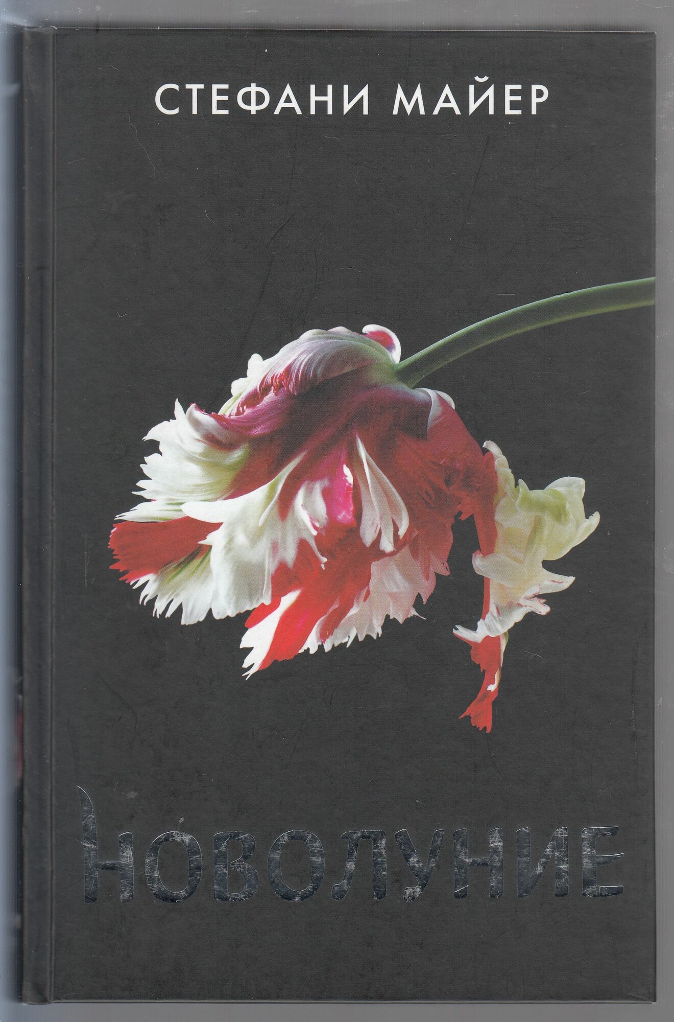 Стефани Майер. Новолуние