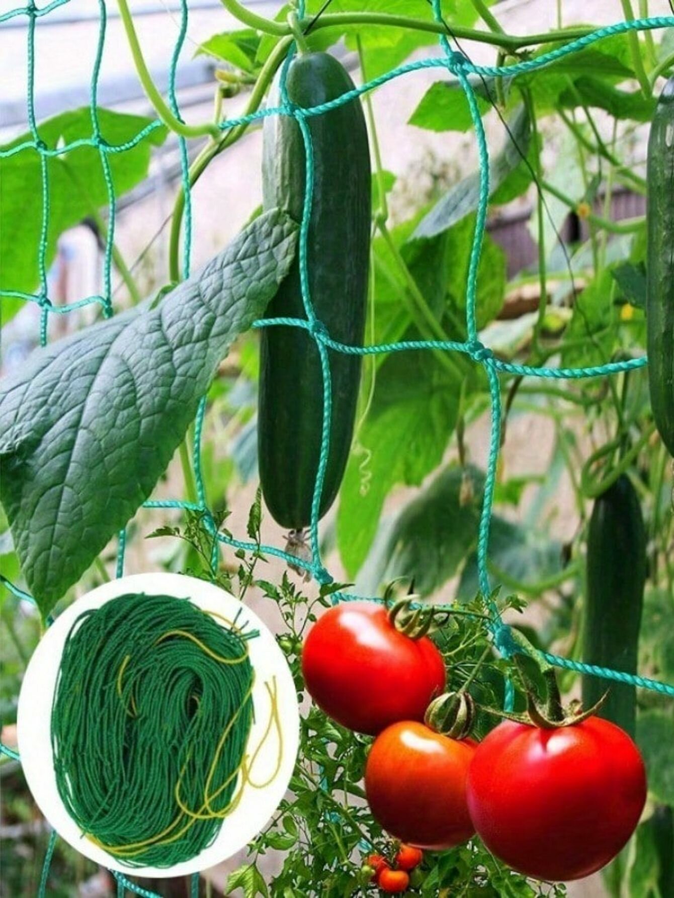 Сетка садовая