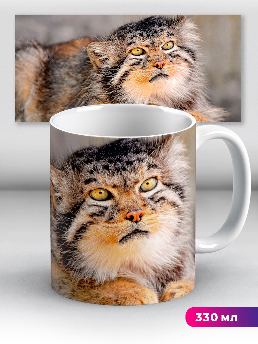 Кружка Манул кот котик