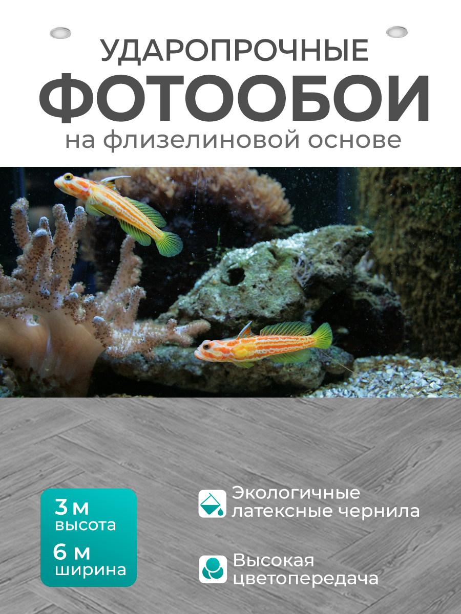 Фотообои моющиеся ударопрочные "Морской рыбы, аквариумные рыбки, аквариум" 600x300 см. флизелиновые на стену