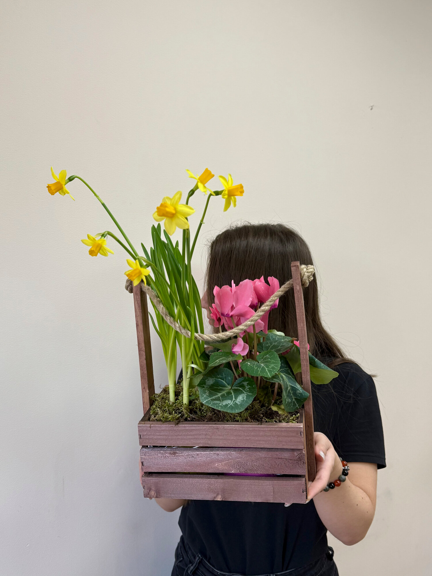 Ящик с первоцветами нарциссы луковичные, цикломен горшечный