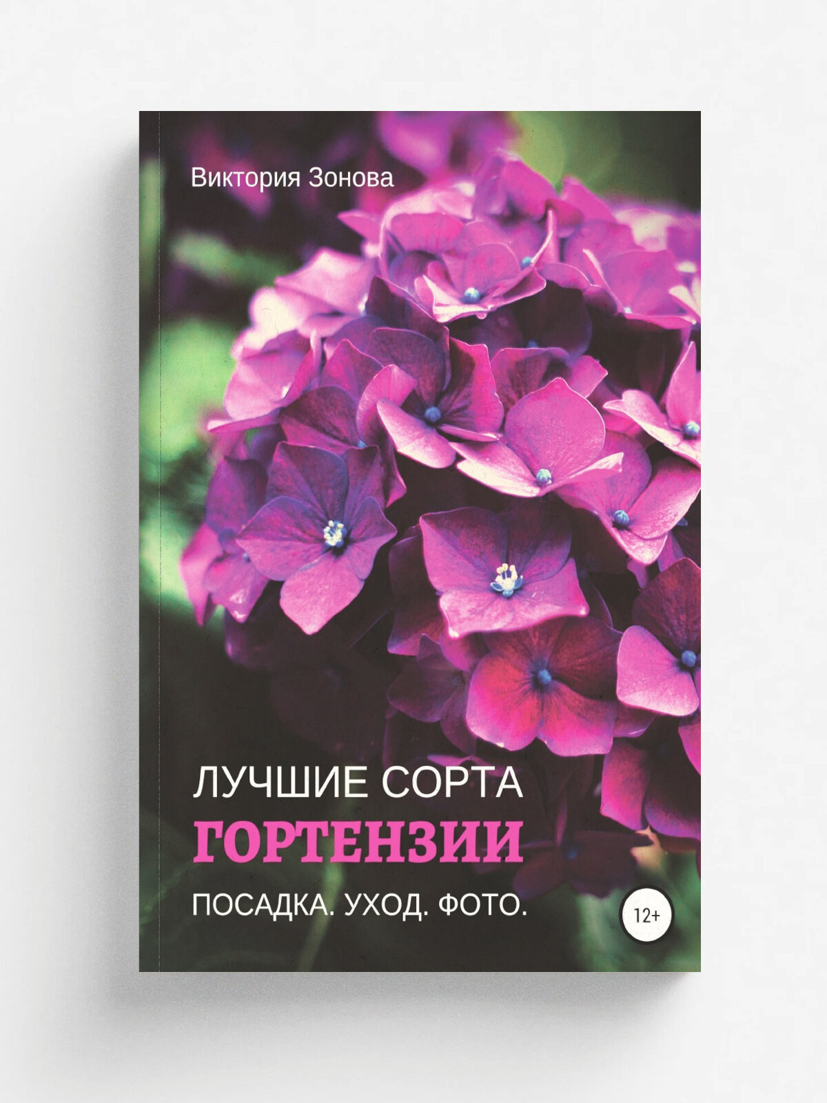Гортензии. Лучшие сорта