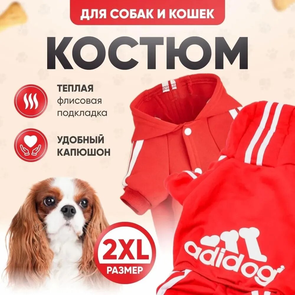Adidog, Комбинезон для домашних животных, Одежда для собак, Спортивная куртка для собак, Костюм кошки(XXL, красный)
